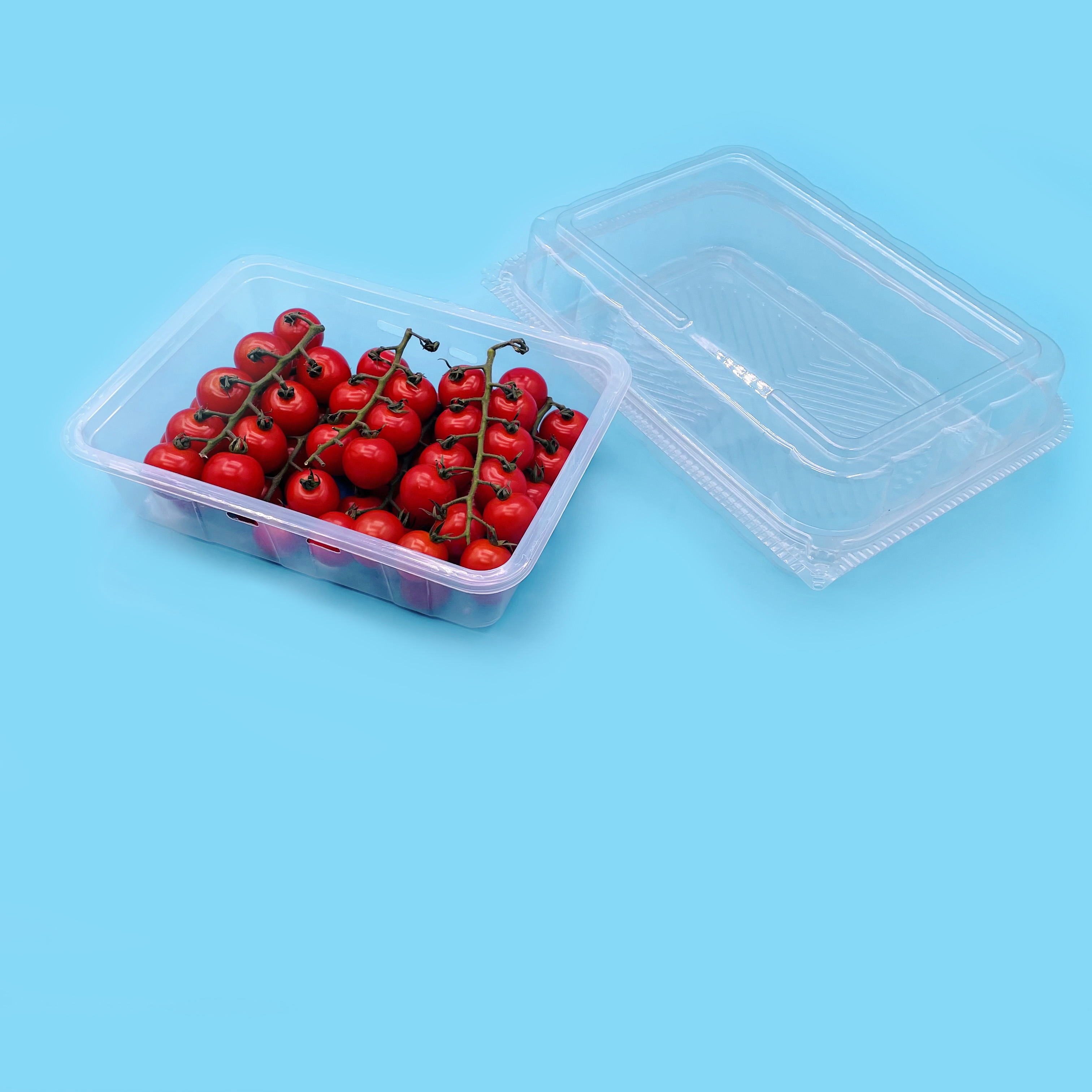 Custom Vacuum Formed Food Tray from China